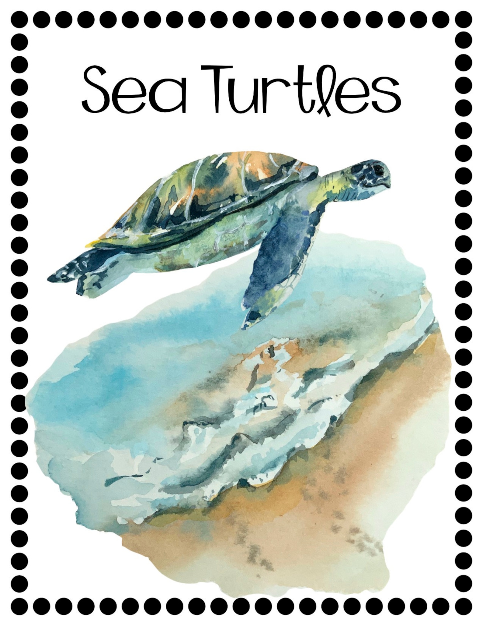 Sea Turtle Mini Study - Etsy