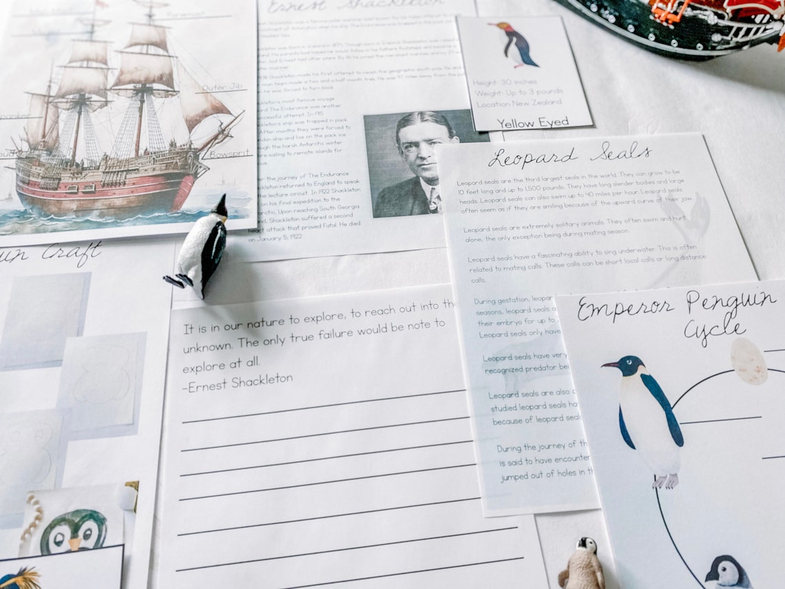 Trapped by the Ice Book Companion - Etsy