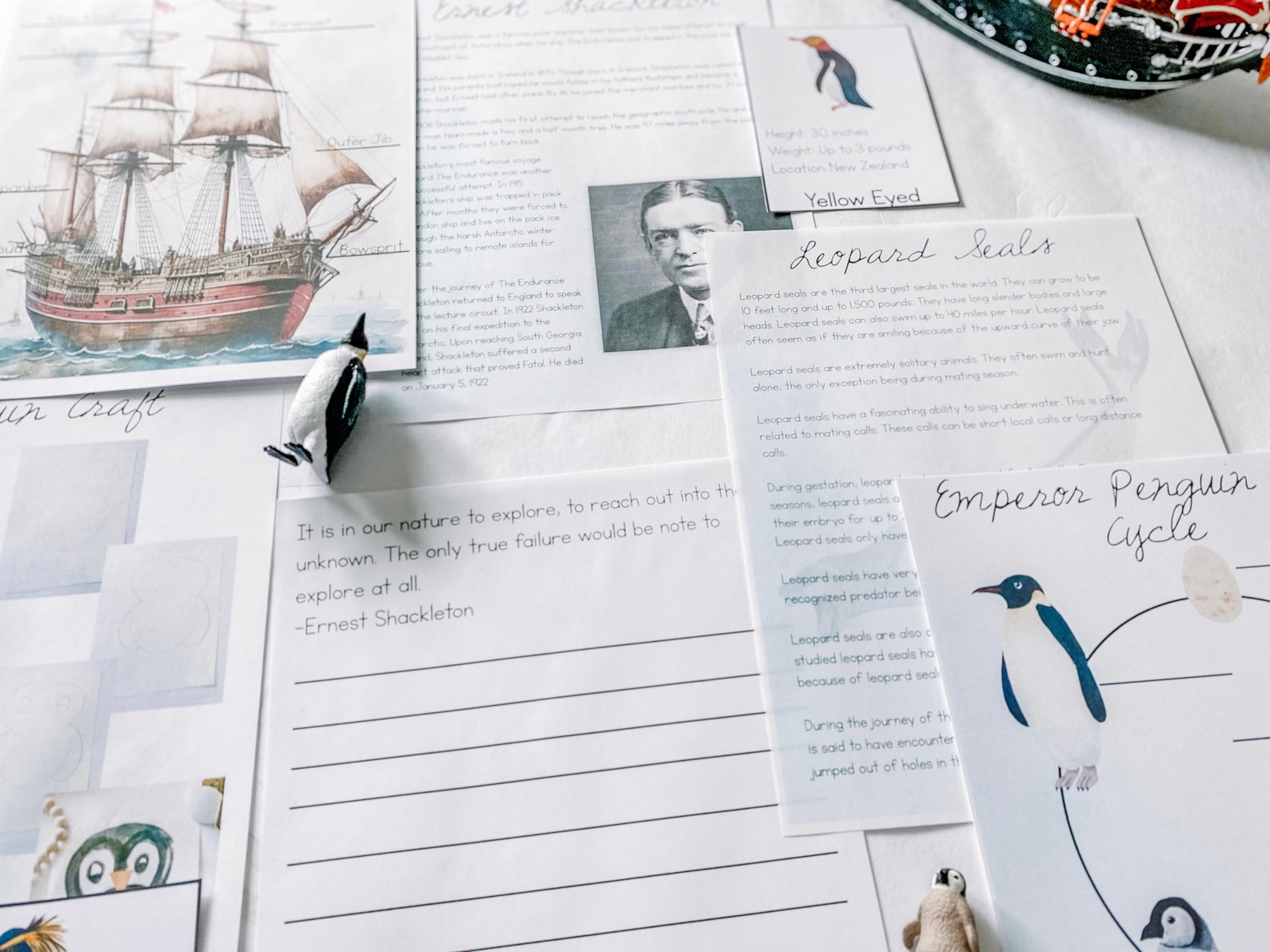 Trapped by the Ice Book Companion - Etsy