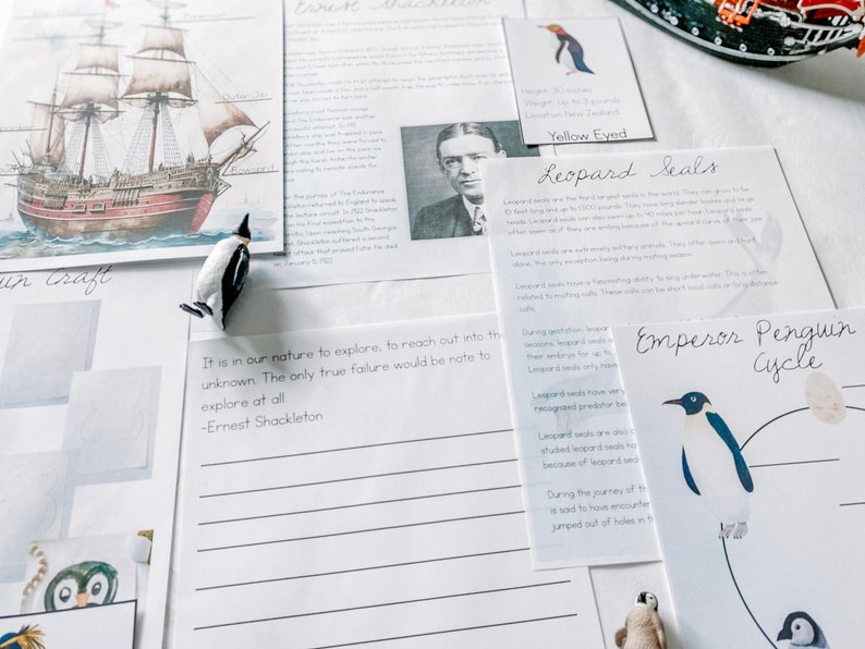 Trapped by the Ice Book Companion - Etsy