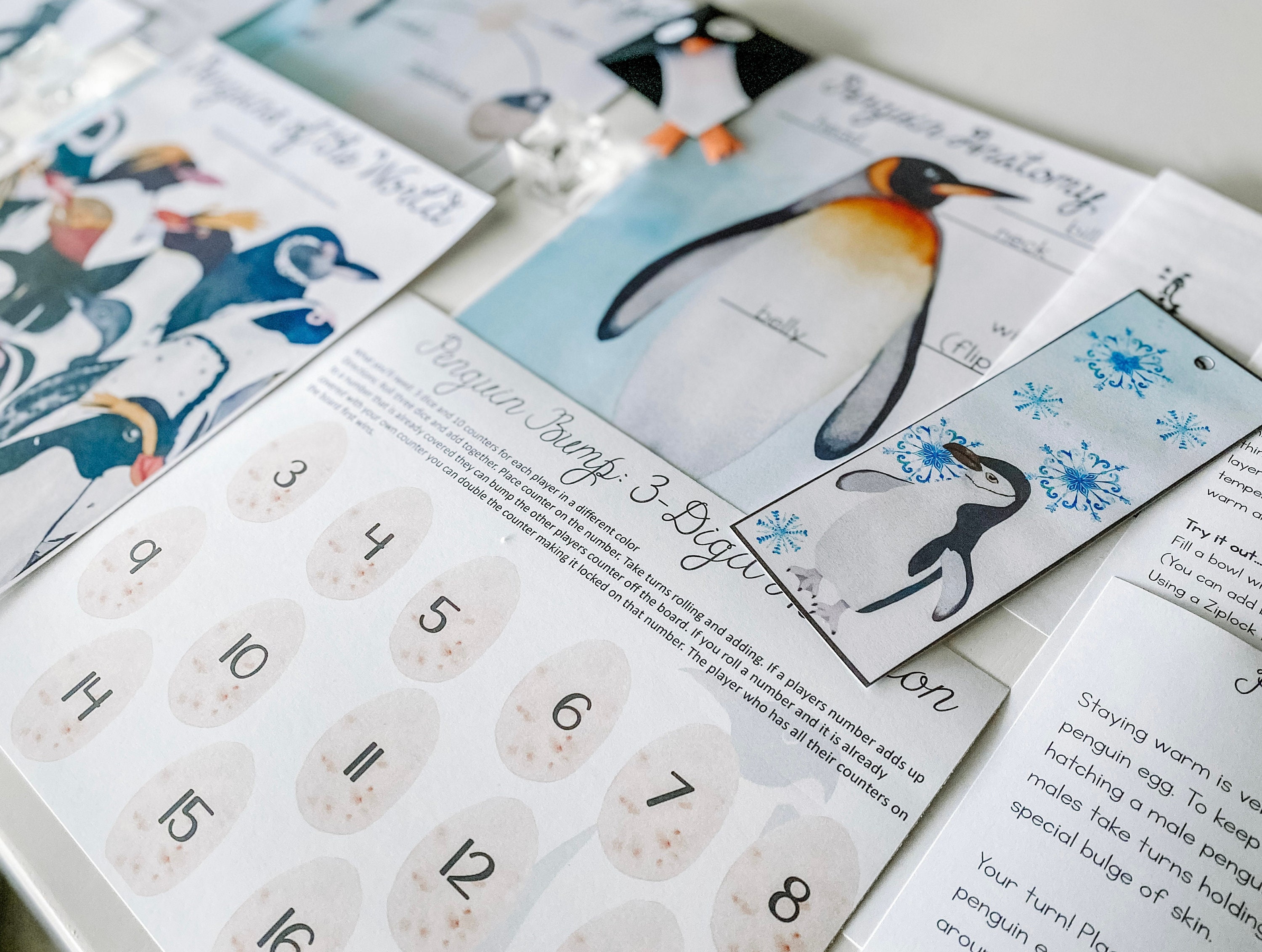 Penguins of the World Unit Study - Etsy