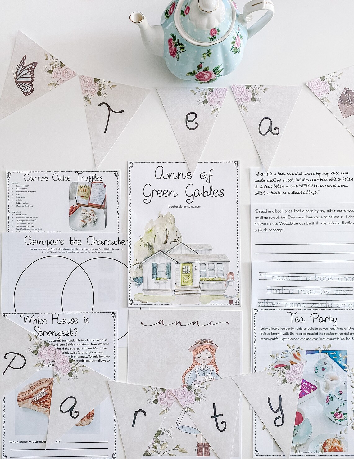 Anne of Green Gables Book Companion Unit - Etsy