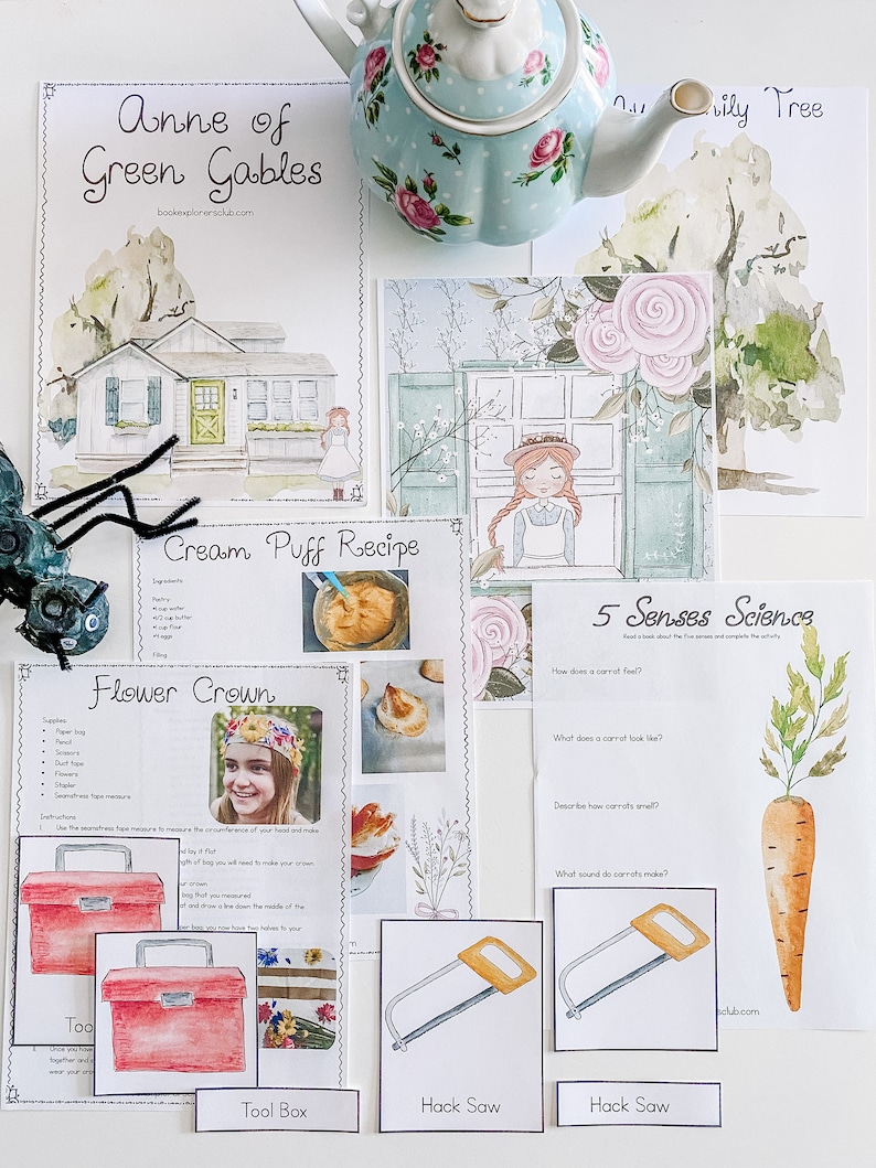 Anne of Green Gables Book Companion Unit - Etsy