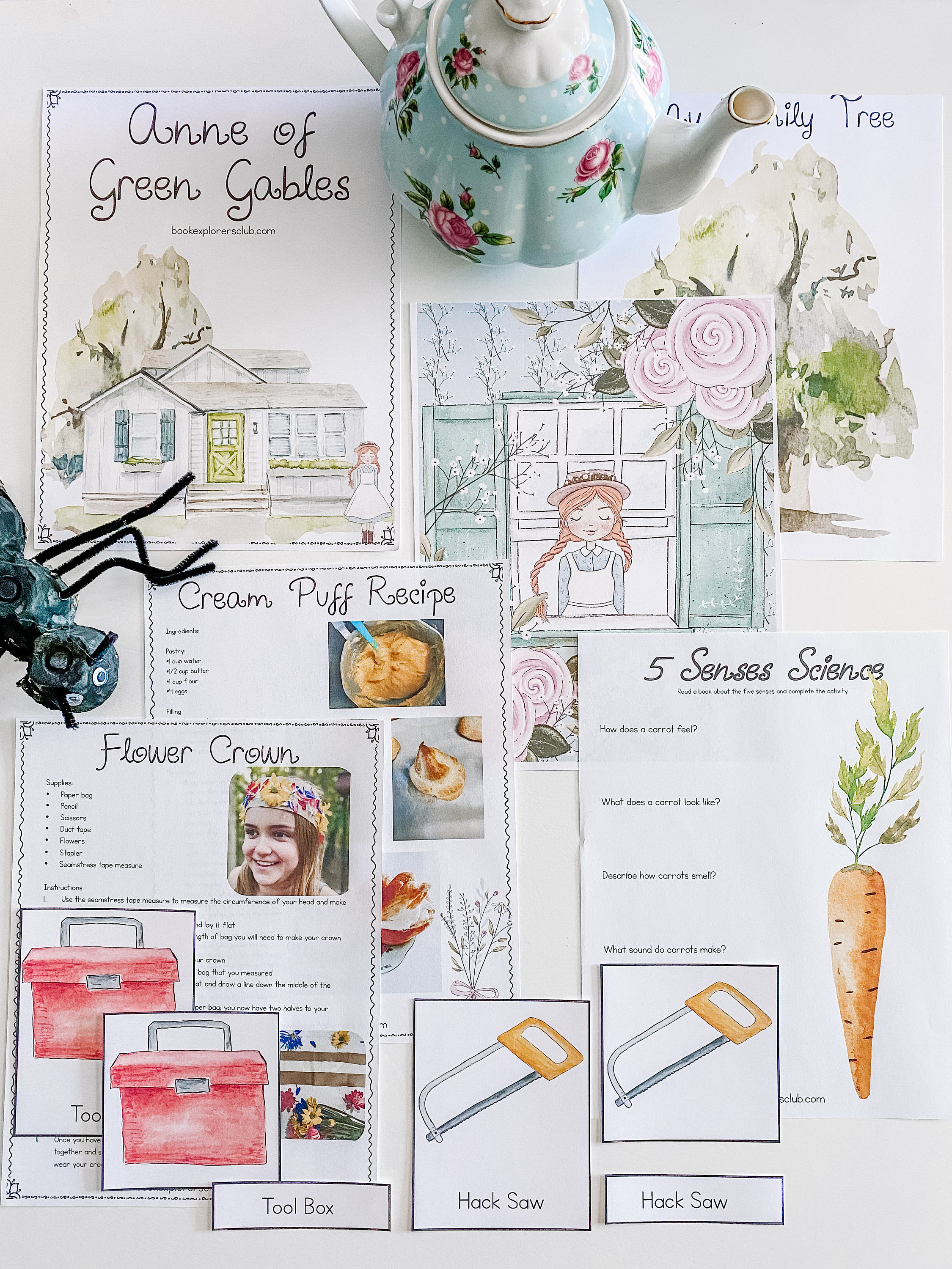 Anne of Green Gables Book Companion Unit - Etsy