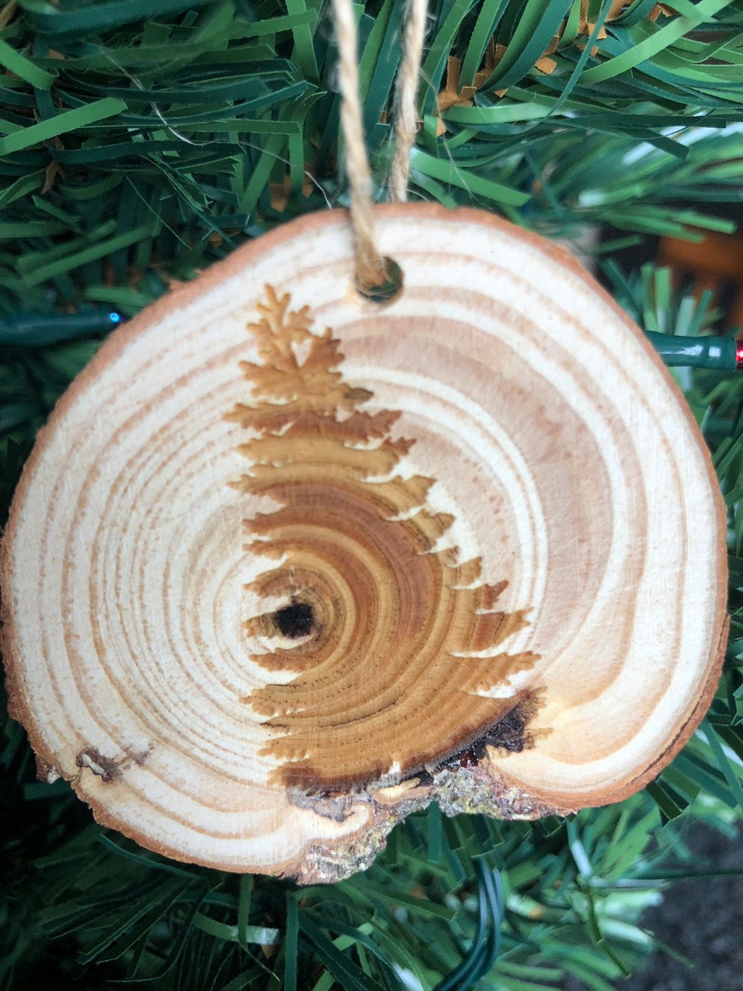 Pine Tree on Rustic Wood Slice Laser Engraved - Etsy