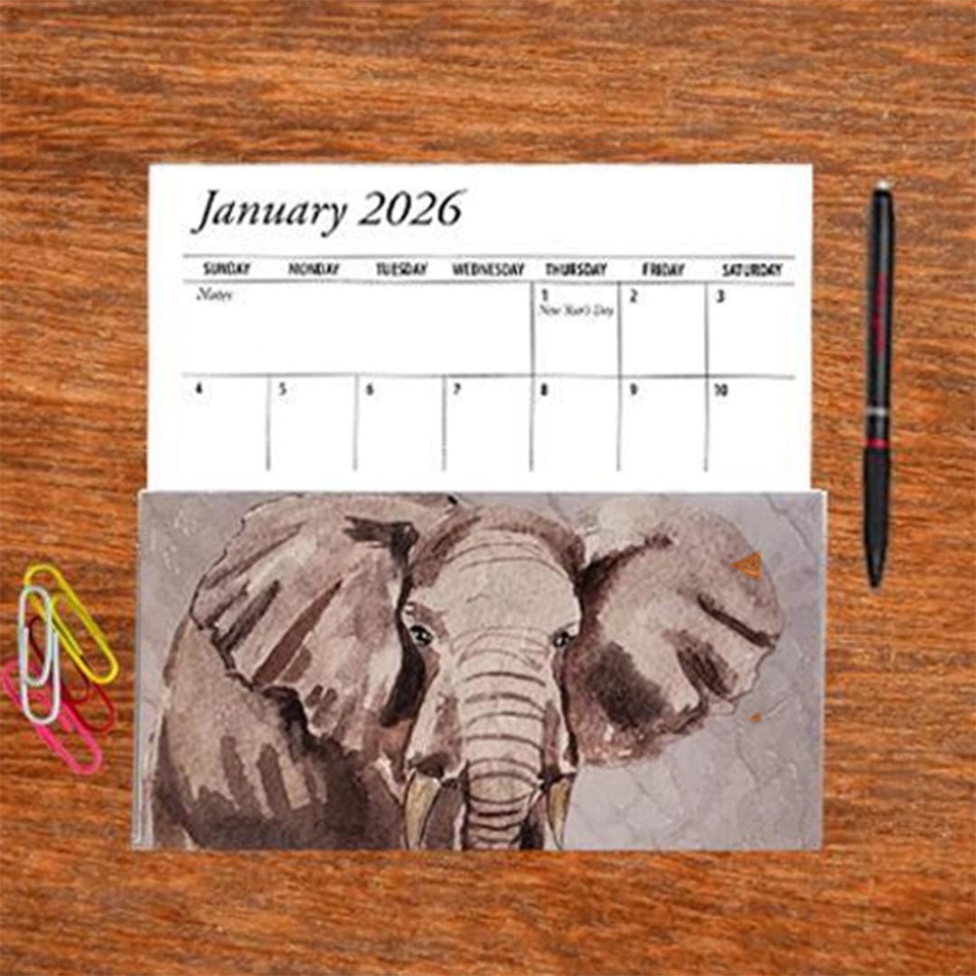 2 Year 2025 2026 Pocket Calendar African Safari Elephant, Zebra, or ...