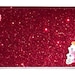 Checkbook Cover Style Choice Bling Glitter With Free 50 Page Check ...