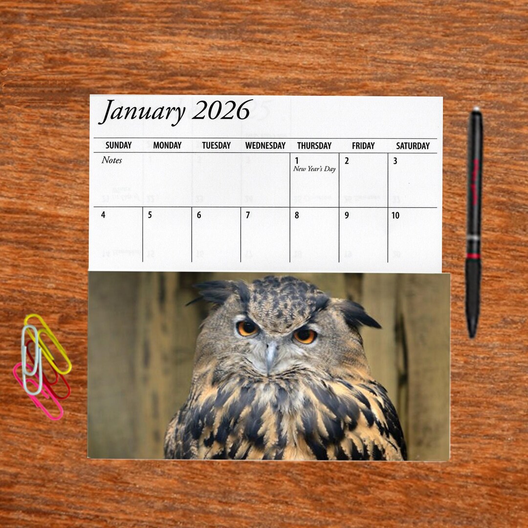 2 Full Years Pocket Calendar Owl Bird Choice Planner Free Notepad - Etsy