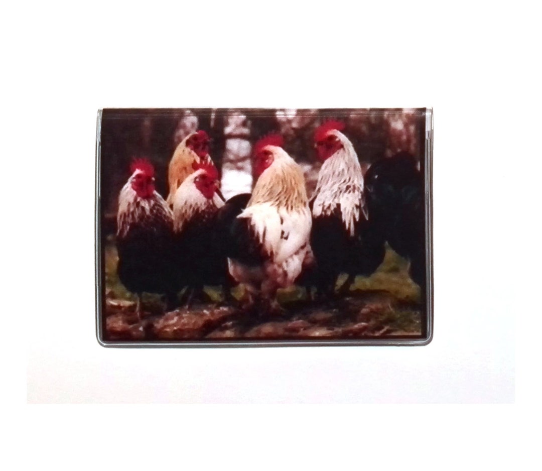RFID Protected Debit Credit Card Holder Chickens Mini Register Photo ...