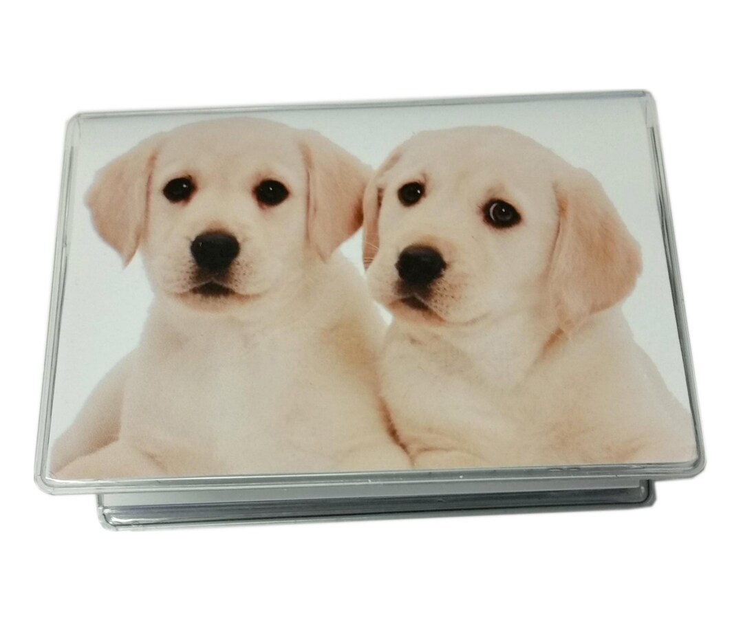 Your Choice puppy Dog RFID Protected Debit Credit Card Holder Mini ...