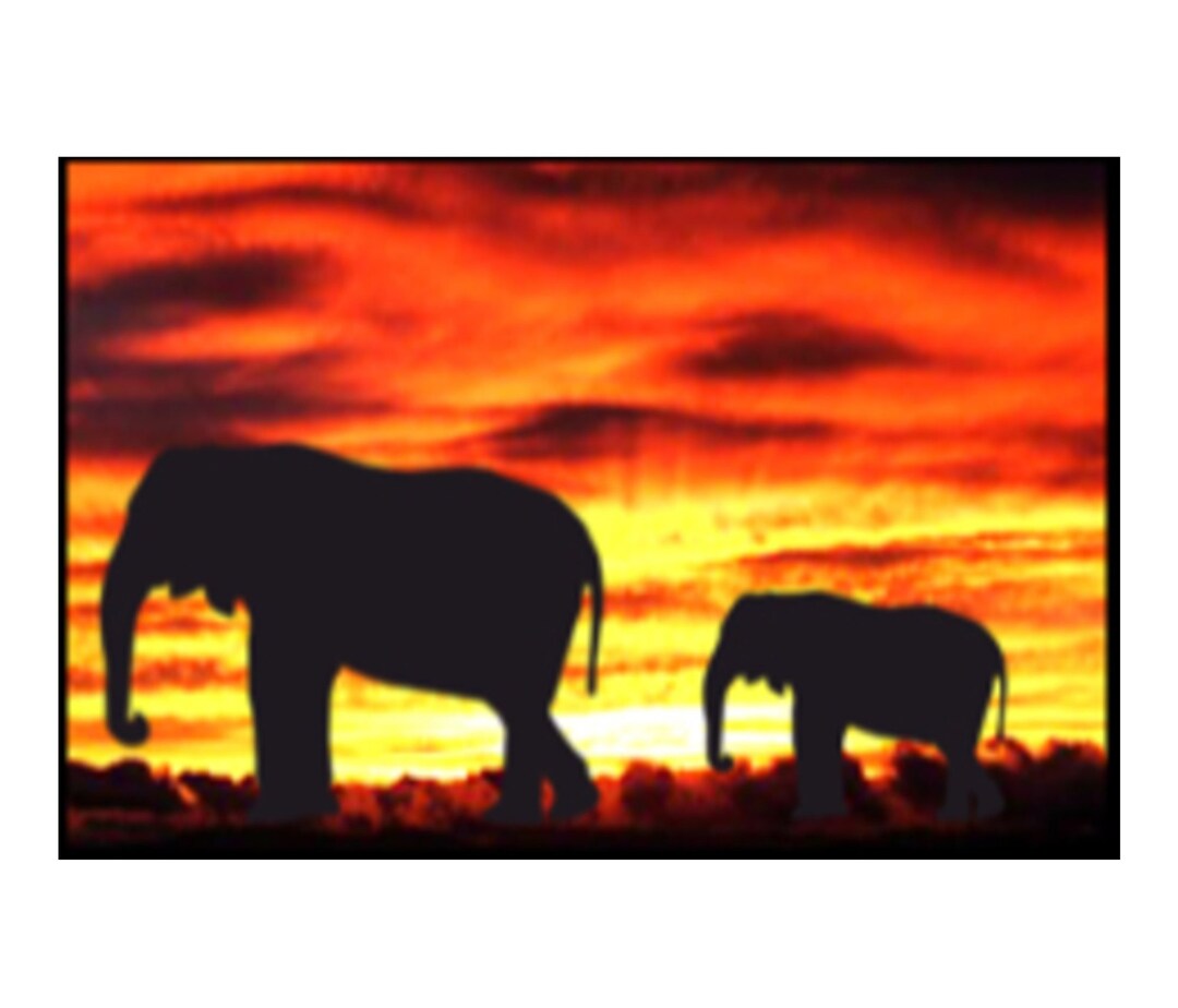 Your Choice Safari Animal RFID Protected Debit Credit Card Holder Mini ...