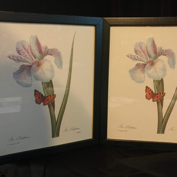 P J Redoute Prints - Etsy