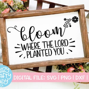 Bloom Where the Lord Planted You SVG, Home Decor Cut File, Christian ...