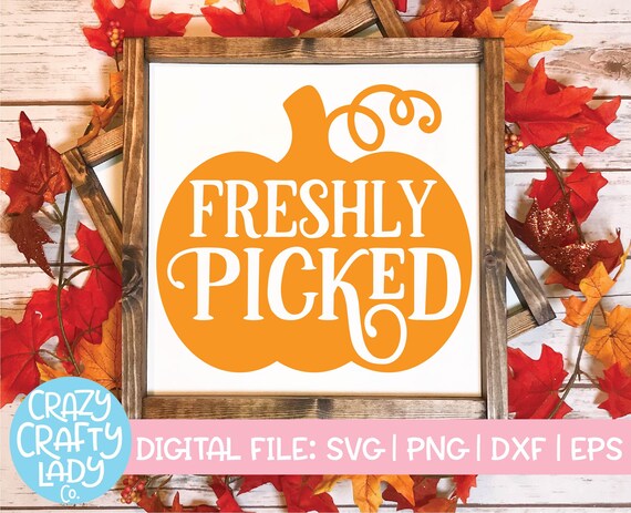 Freshly Picked SVG Fall Cut File Baby Saying Thanksgiving | Etsy