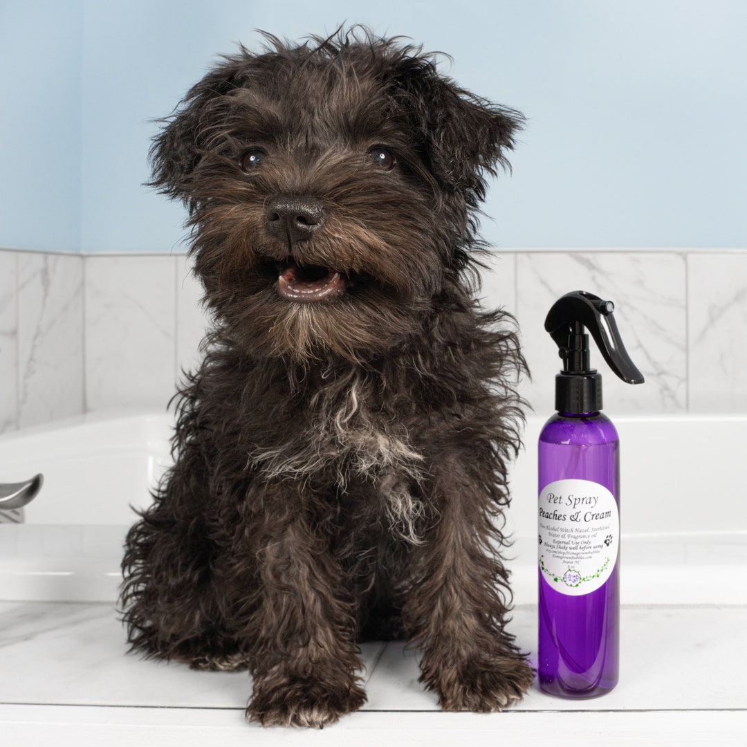 8 Oz Pet Spray Choose a Scent - Etsy