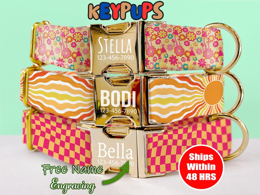 Retro Groovy Dog Collar Leash Set With Free Personalized Engraved Pet ...