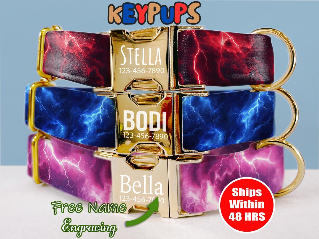 Thunderbolt Lightning Dog Collar Leash Set With Free Personalized ...
