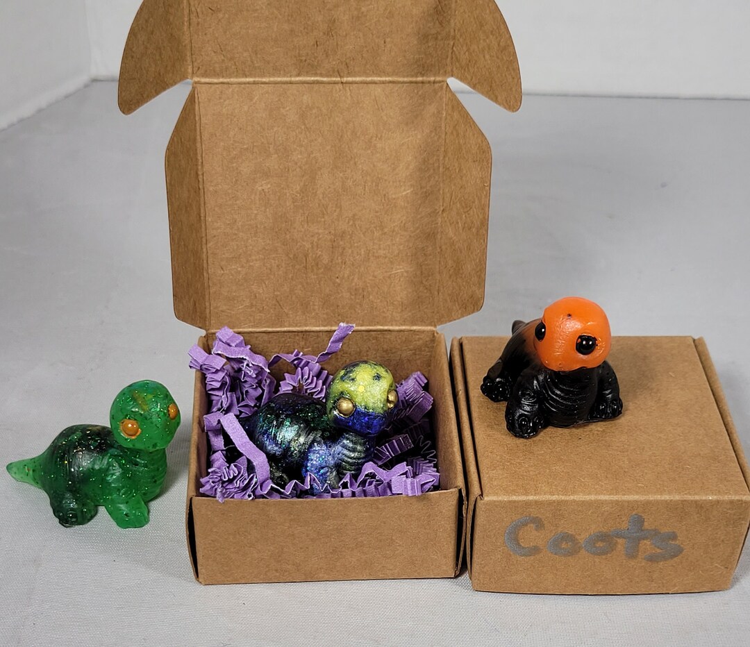 Coots Mystery Box - Etsy