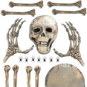 Halloween Bone Collection Clipart by Michelle Wayman - Etsy