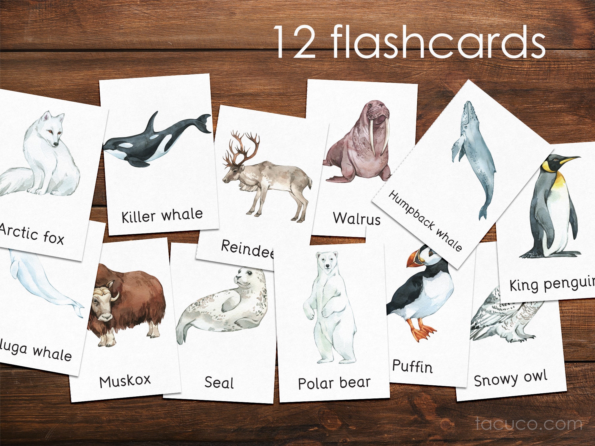 Winter Bingo Polar and Arctic Animals game for Kids Kids Party Game 30 ...