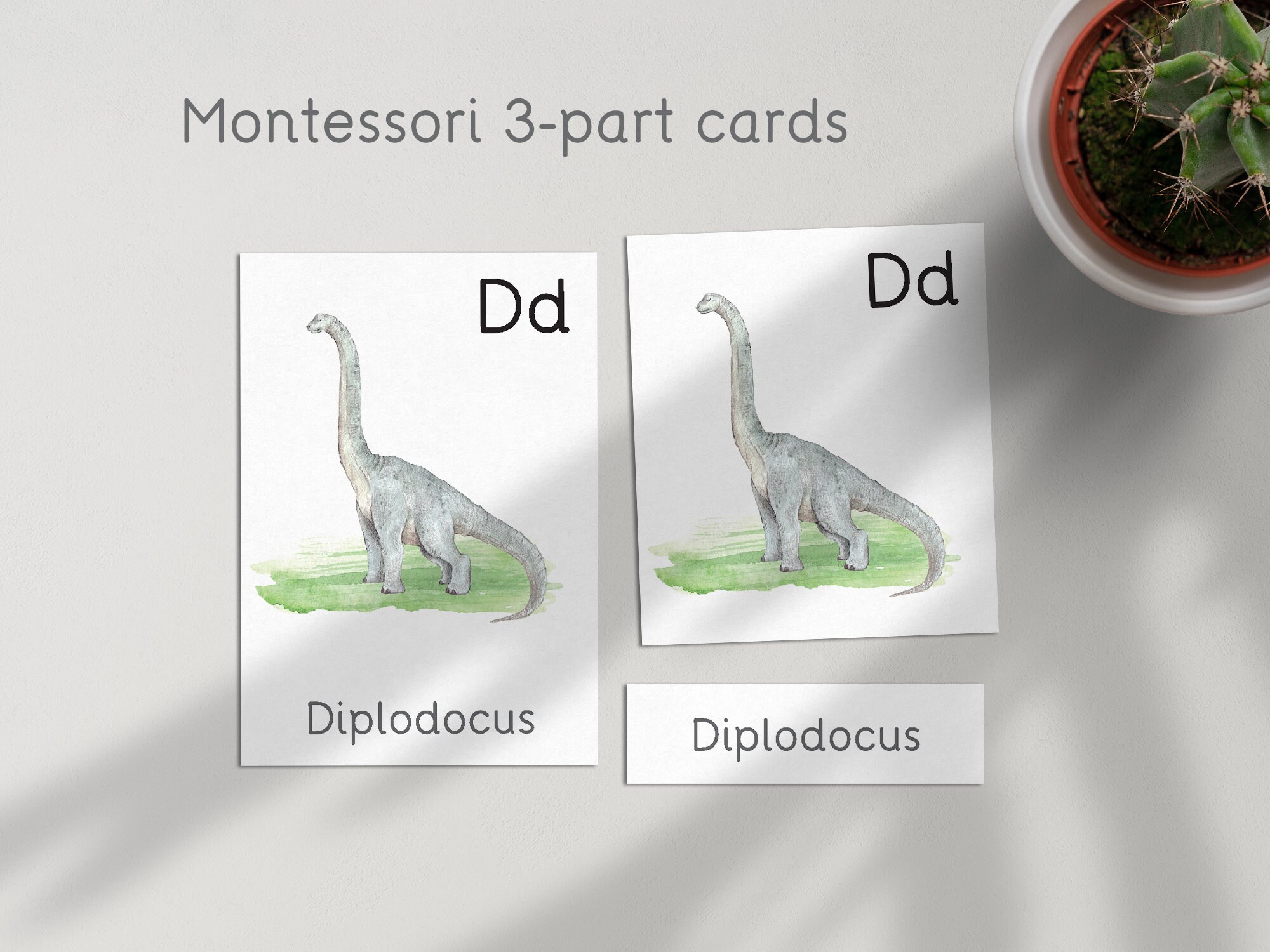 Dinosaur ABC Cards Montessori Alphabet Flashcards - Etsy