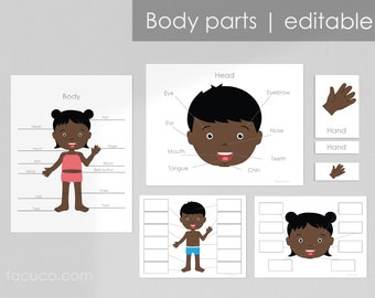 Human Body Study Flashcards and Match Activity Diversity | Etsy