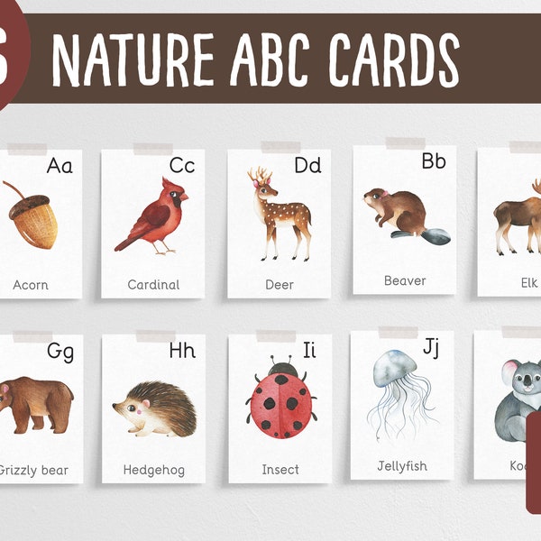 Alphabet Flashcards - Etsy