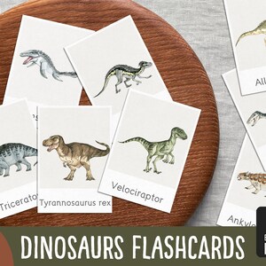 Montessori Dinosaur 3 Part Cards - Etsy Ireland
