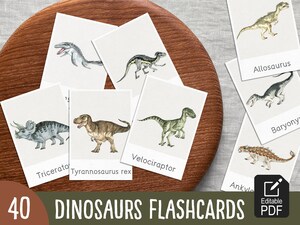 Montessori Dinosaur 3 Part Cards - Etsy Ireland