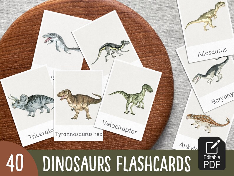 Tarjetas de dinosaurios / Tarjetas Montessori imprimibles en - Etsy México