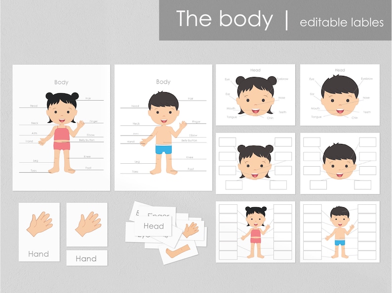 Human Body Study Flashcards and Match Activity Diversity | Etsy