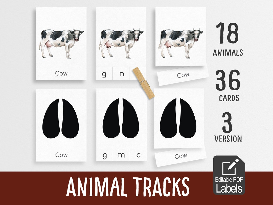 Animal Tracks Cards, Montessori Material, Matching Game, Preschool ...