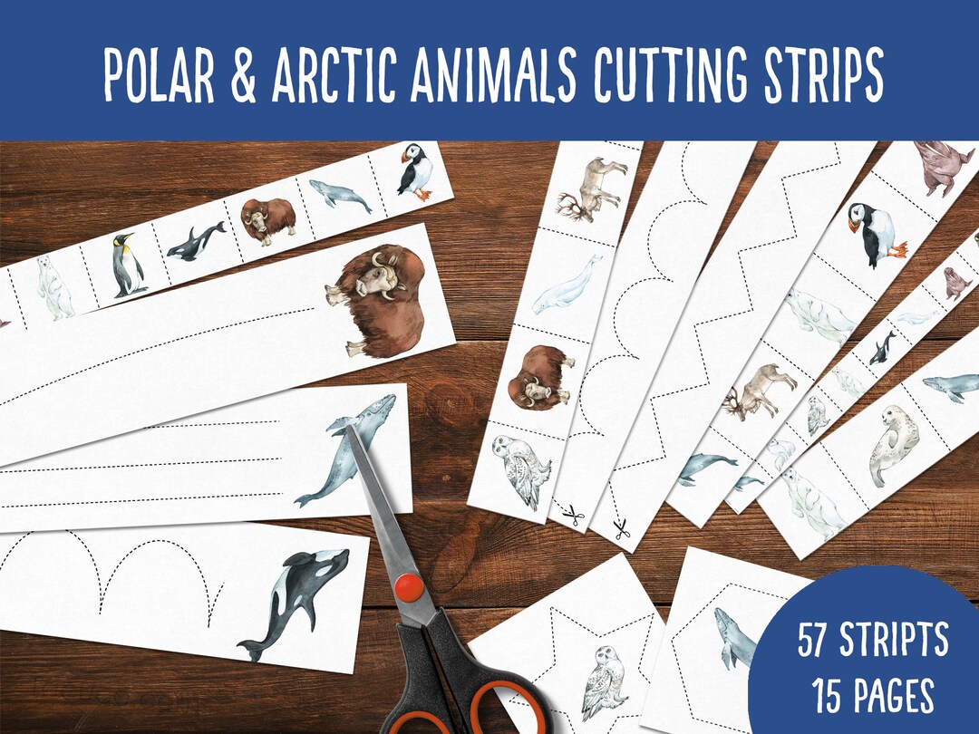 Cutting Strips Scissor Practice Polar Animals Arctic Animals Preschool ...