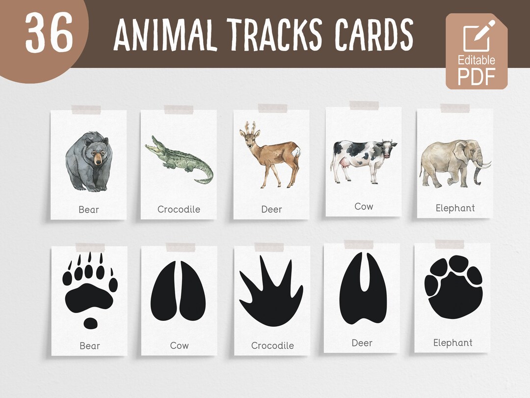 Animal Tracks Cards, Montessori Material, Matching Game, Preschool ...