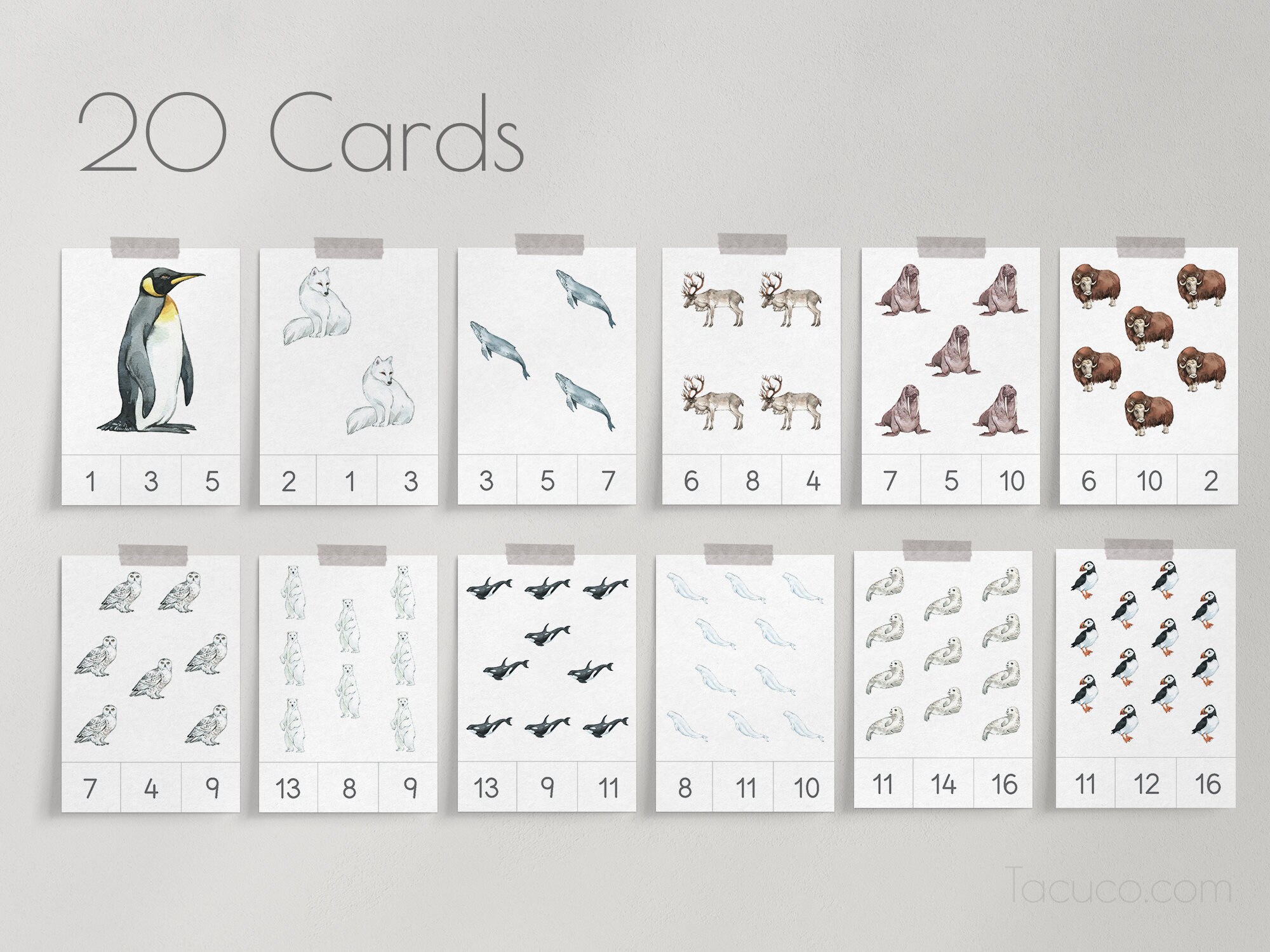 Animals Count and Clip Number Cards Polar and Arctic Animals - Etsy