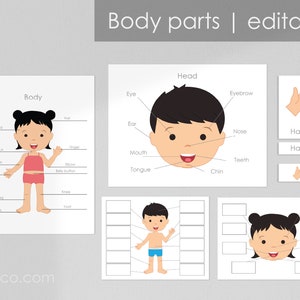 Human Body Study Flashcards and Match Activity Diversity for Kids Body ...