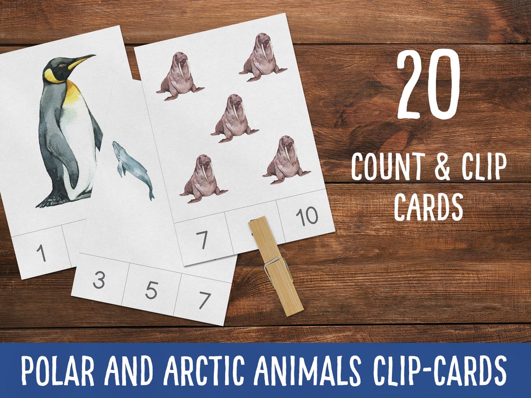 Animals Count and Clip Number Cards Polar and Arctic Animals - Etsy
