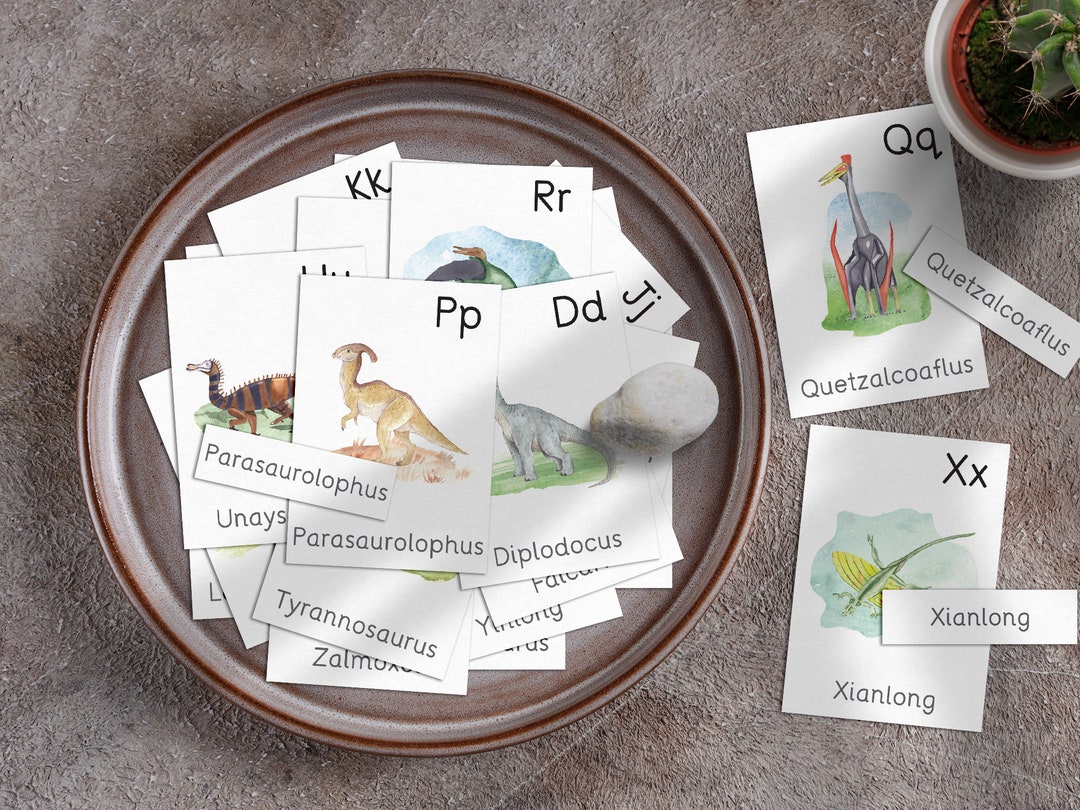 Dinosaur ABC Cards Montessori Alphabet Flashcards - Etsy