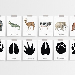 Animal Tracks Cards, Montessori Material, Matching Game, Preschool ...