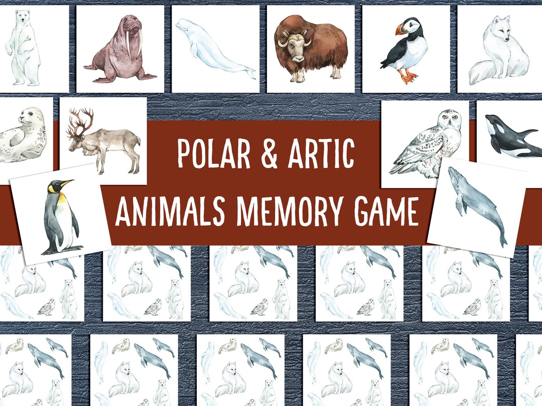 Memory Match Game Polar and Arctic Animals Matching Game Preschool ...