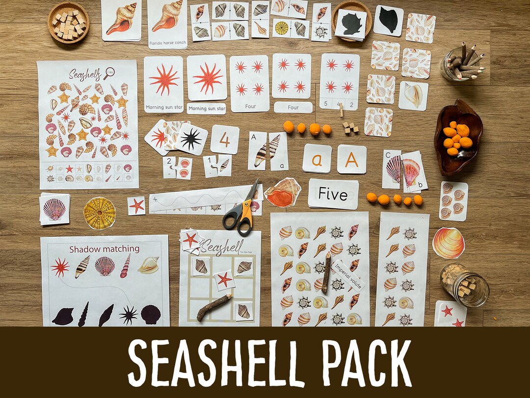 Seashell Activity Pack, Study Unit, Learning Pack, Preschool Printable ...
