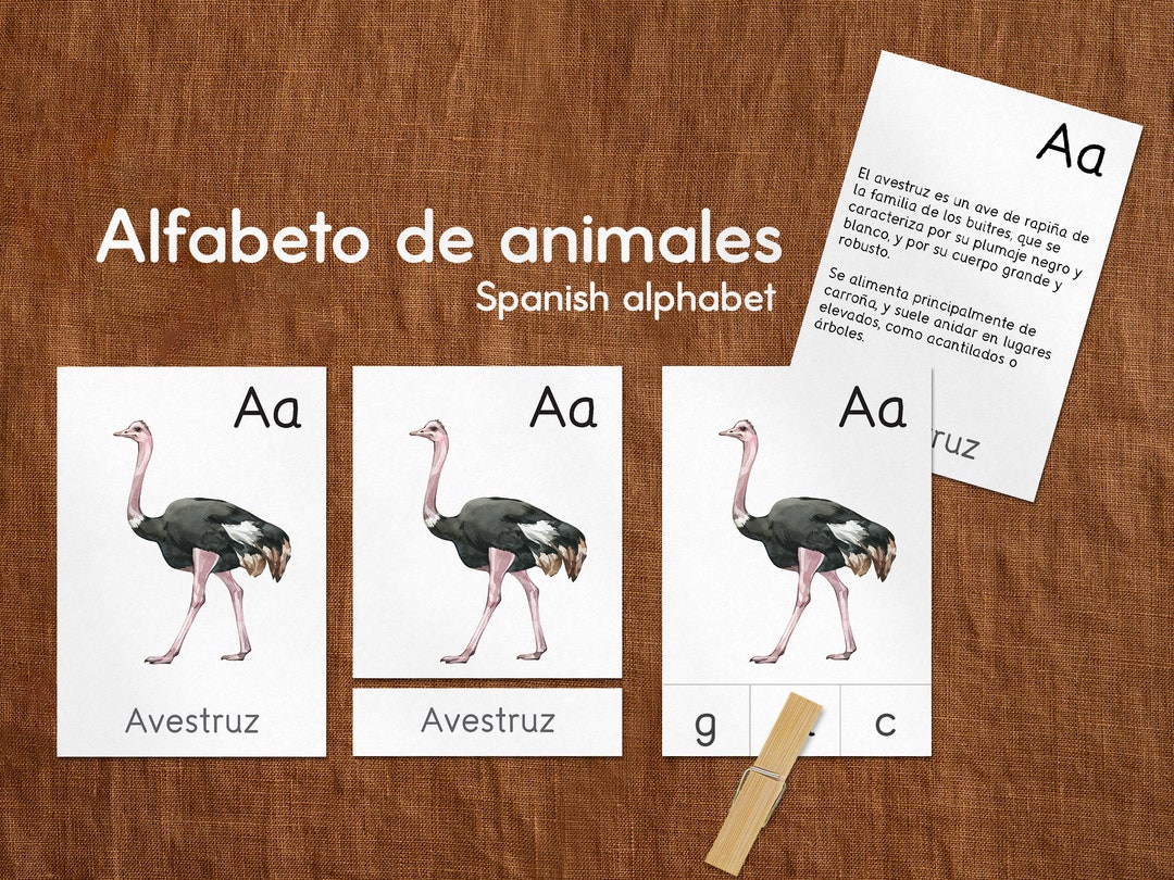 Animal Alphabet Flashcards Pack Spanish Version - Etsy