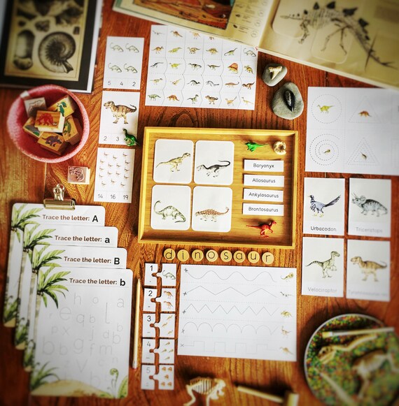 Dinosaur Activity Pack Homeschool Printables for Toddlers - Etsy