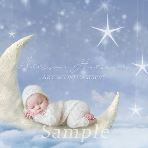 Beautiful Carousel Horse Newborn Digital Backdrop - Etsy