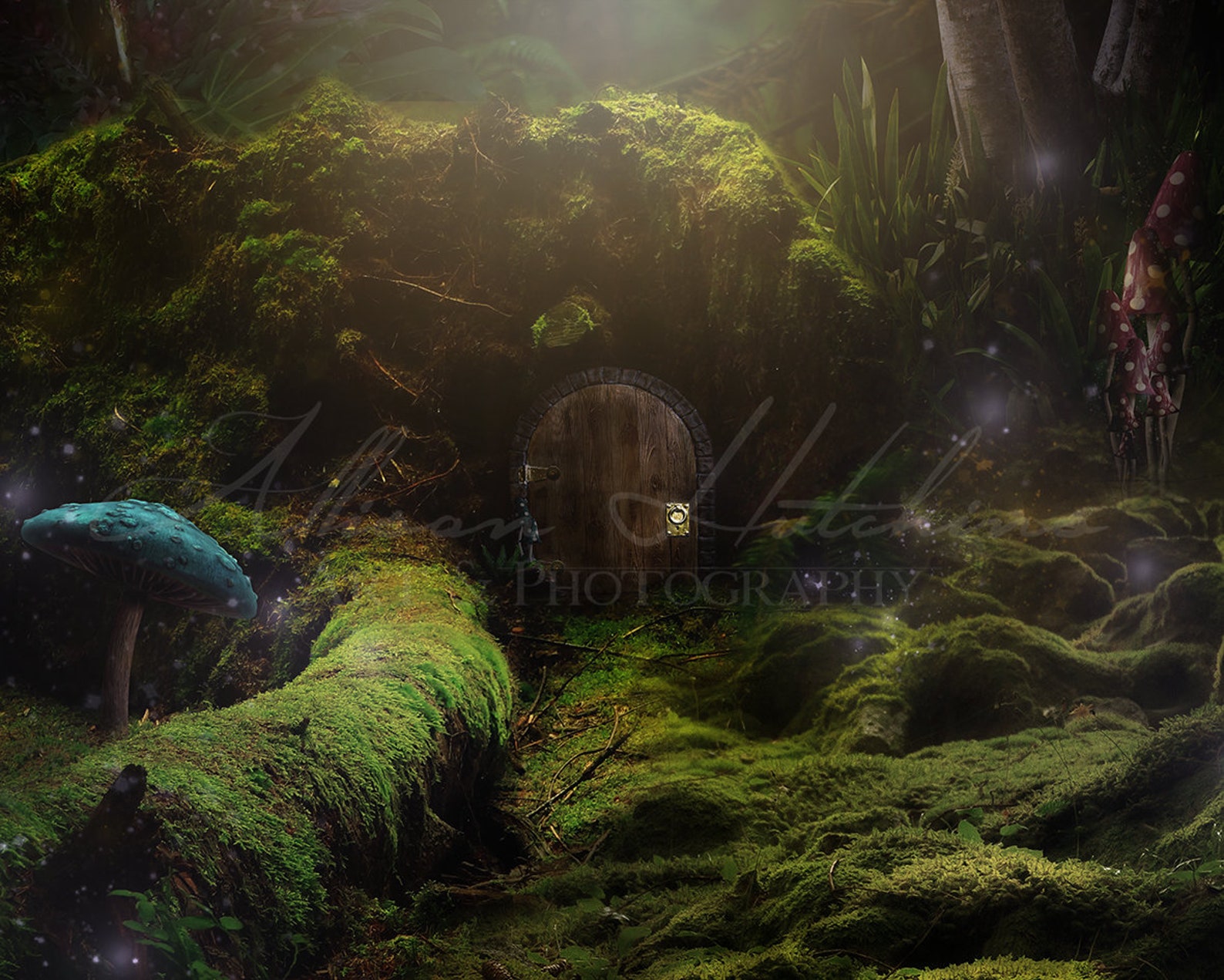 Woodland Fairy Digital Backdrop - Etsy