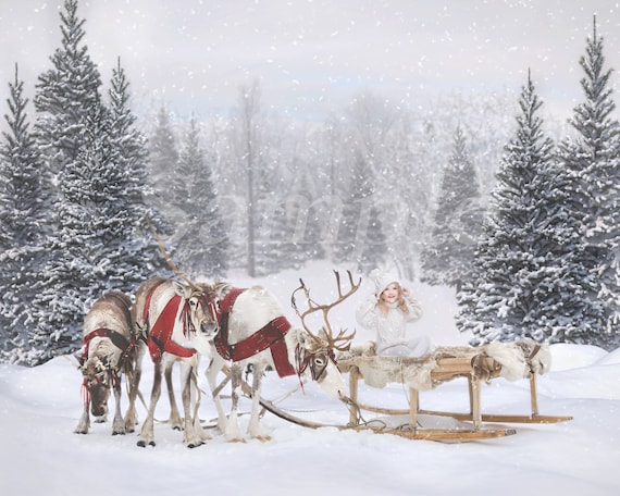 Reindeer in the Snow Christmas Digital Background With Falling | Etsy