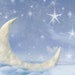 Paper Moon Newborn Digital Backdrop - Etsy