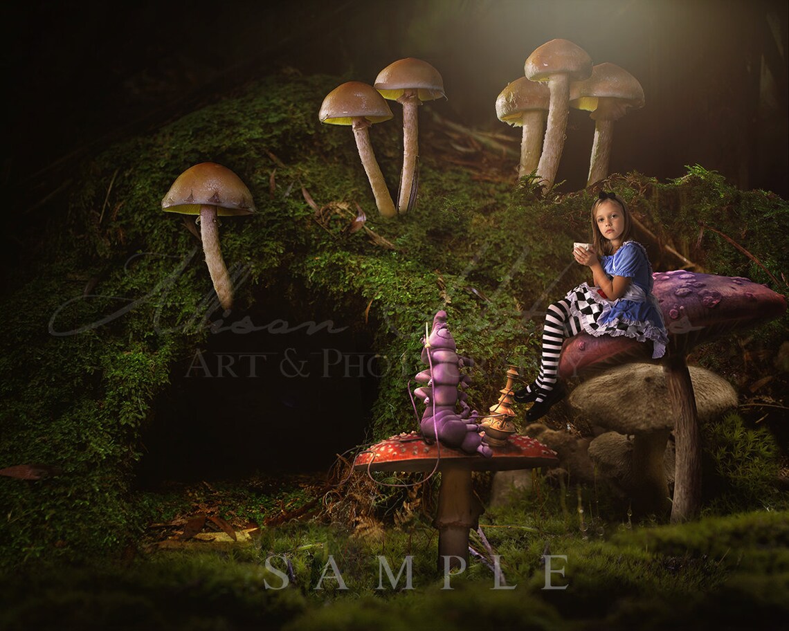 Alice in Wonderland Digital Backdrop - Etsy