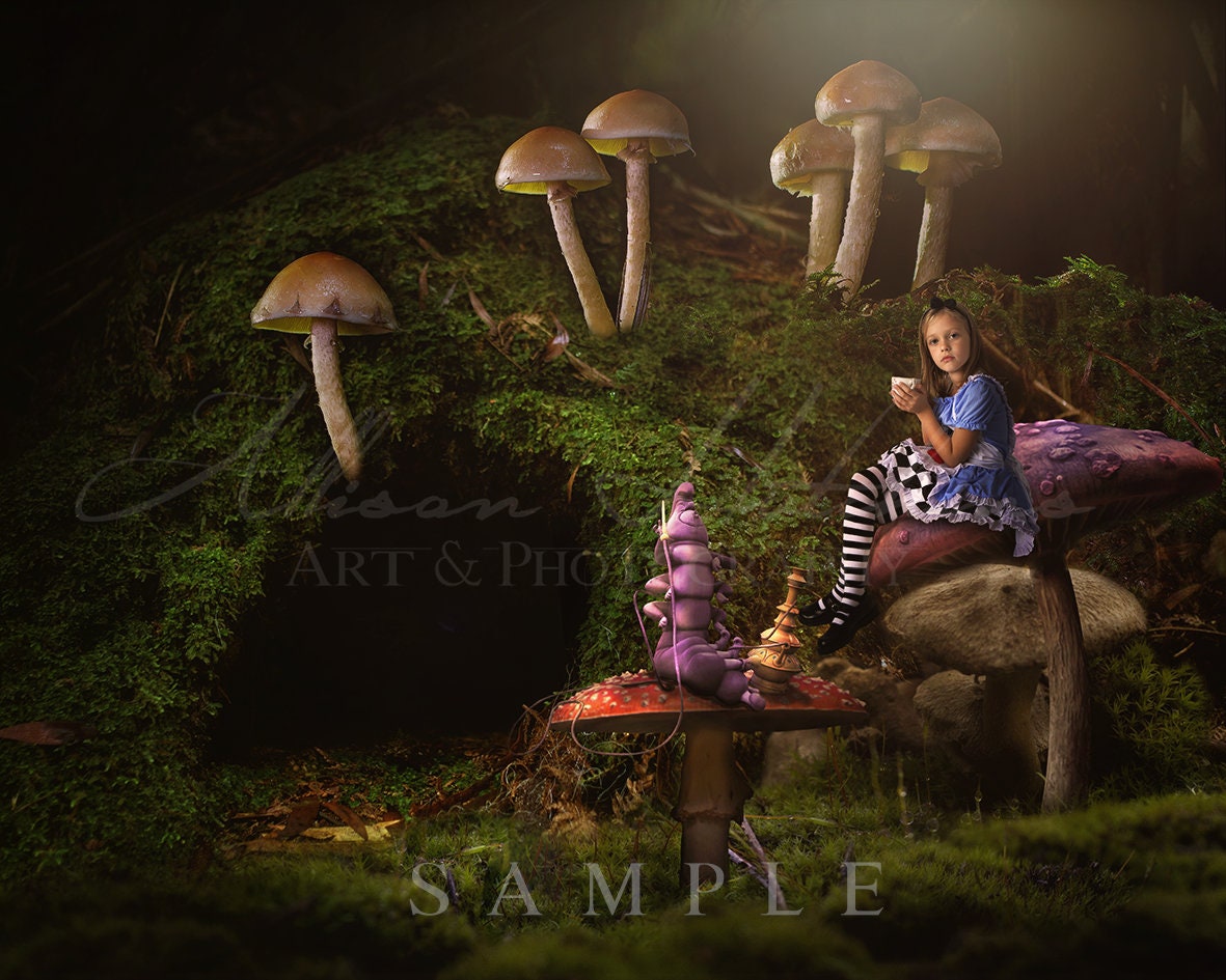 Alice in Wonderland Digital Backdrop | Etsy