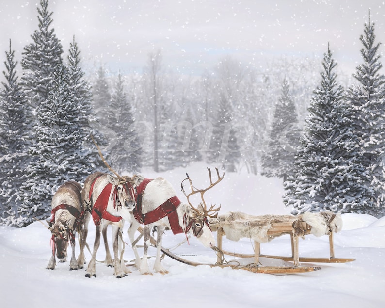 Reindeer in the Snow Christmas Digital Background With Falling Snow ...